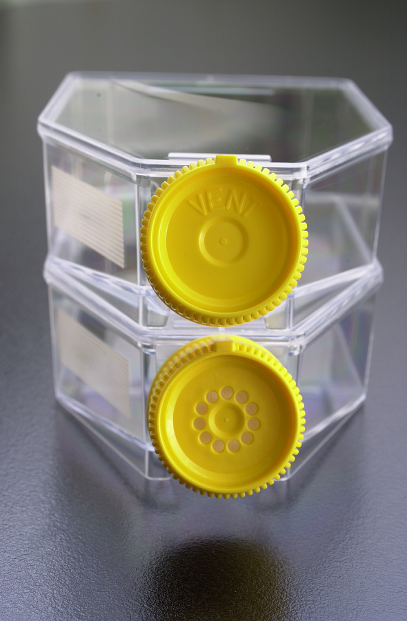 TPP Tissue Culture Flasks with Vented Caps | MIDSCI
